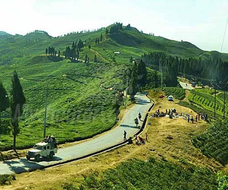 Sonitpur District | Sonitpur District Map