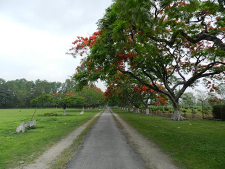 Udalguri District | Udalguri District Map