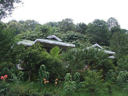 North East Delhi District | North East Delhi District Map