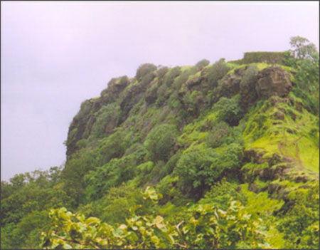 Dang District | Dang District Map