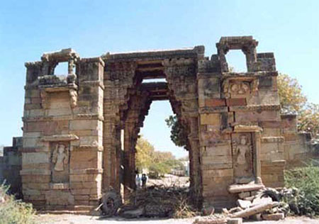 Surendranagar District | Surendranagar District Map