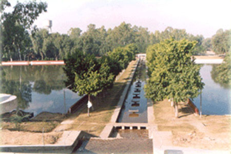 Bhiwani District | Bhiwani District Map