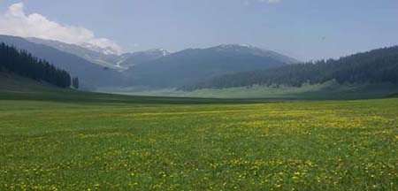 Kupwara District | Kupwara District Map