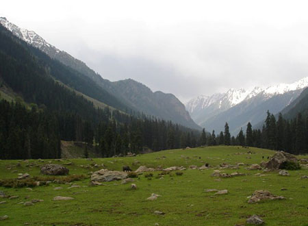 Rajauri District | Rajauri District Map