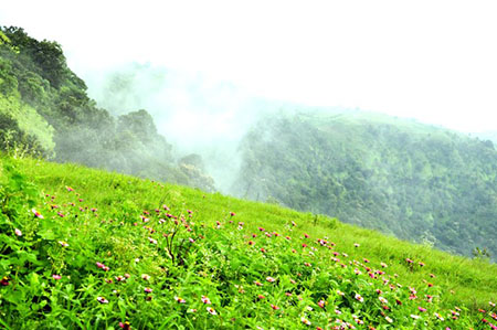 Betul District | Betul District Map