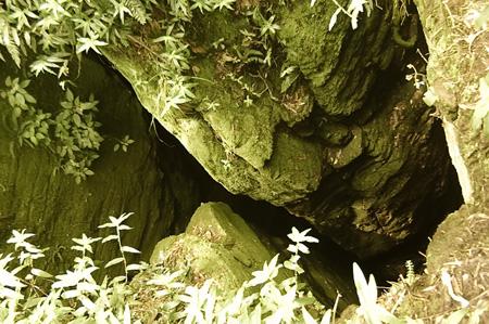 Guna District | Guna District Map