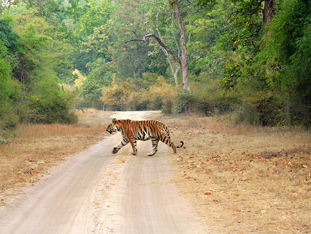 Katni District | Katni District Map