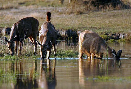 Seoni District | Seoni District Map