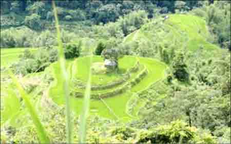 Phek District | Phek District Map