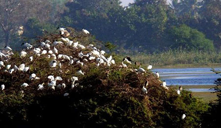 Thiruvarur District | Thiruvarur District Map